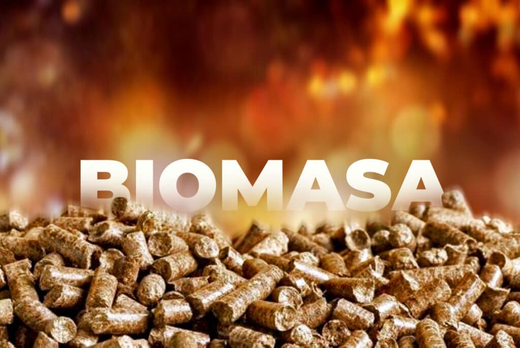 Qué es la biomasa y cómo funciona - Blog sobre climatización Qué es la biomasa y cómo funciona - Blog sobre climatización